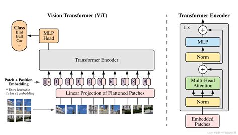 Vit笔记以及其pytroch实现vit Pytorch Csdn博客