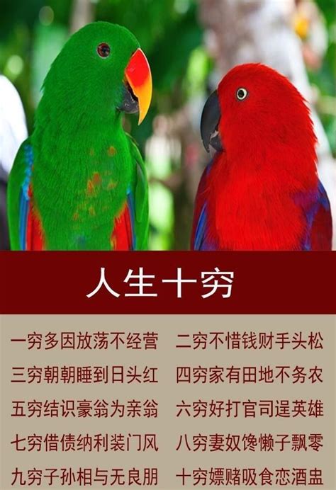 人生十窮十富十難十易十大忌句句精闢 每日頭條