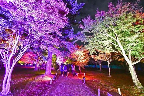 NAKED Inc Japanese Projection Mapping Specialist