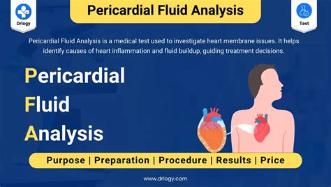 Pericardial Fluid Analysis Price Procedure And Results Drlogy