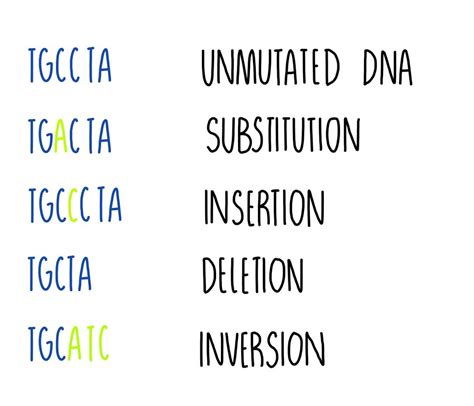 Types Of Genetic Mutations