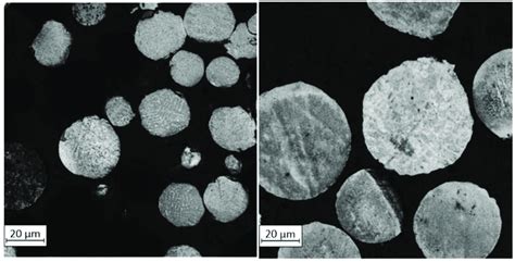 Microstructure Of Both Powders Particles Left Paga Right Ua