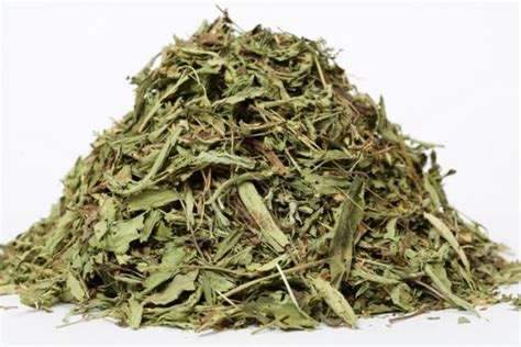 Dry Stevia Leaves Manufacturer Supplier From Jaipur