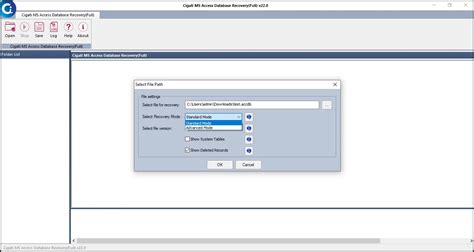 Access Database Recovery For Repairing Corrupt And Damaged Databases