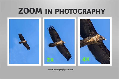 Zoom In Photography Optical And Digital Explained Photographyaxis