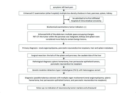 Diagnosis And Treatment Algorithm Based On This Case Report