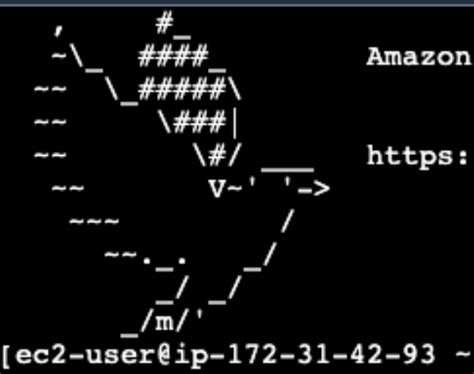 Amazon Linux 2023 の鳥を青くしてみた Developersio