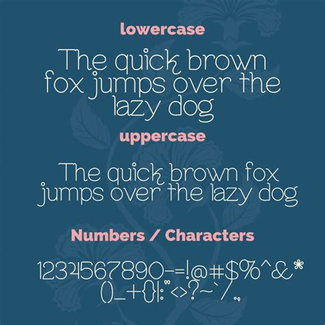 Single Line Font For Cricut And Inscape Ttf And Otf Supplied True Single Line Font Elegance