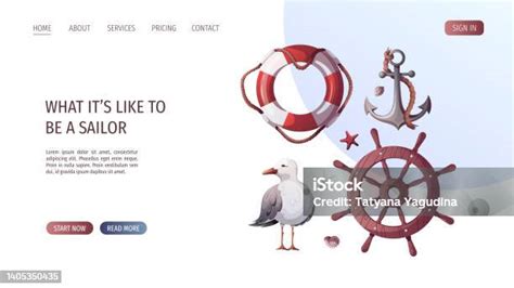 선박의 스티어링 휠 앵커 구명 부표 갈매기 불가사리 조개류 갈매기에 대한 스톡 벡터 아트 및 기타 이미지 갈매기 개체 그룹 닻 Istock