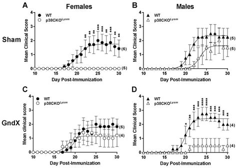 Sex Specific Control Of Cns Autoimmunity By P38 Mapk Signaling In