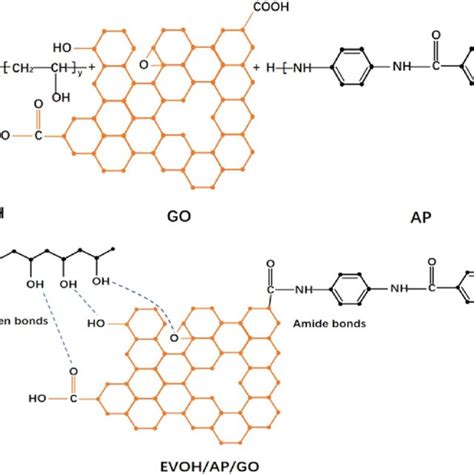 Reaction Schematic Of Graphene Oxide With Evoh And Ap Download Scientific Diagram