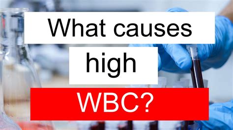 What Does High Wbc And Rbc Mean In Blood Test
