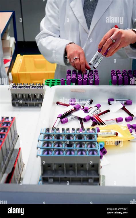 Technical Platform Of The Inovie 34 Laboratory Sorting Sample Tubes From Other Laboratories