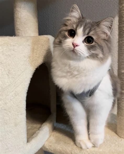 로스트아크 인벤 ㅎㅂ 야짤 로스트아크 인벤 자유 게시판구 로스트아크 인벤 ㅎㅂ 야짤 로스트아크 인벤 자유 게시판구