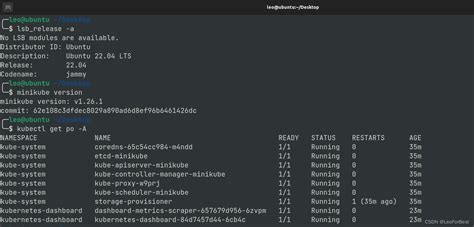 ubuntu 22 04 minikube安装配置 minikube v1 31 2 on ubuntu 22 04 automatically csdn博客