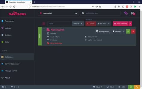 Let Me Help You To Start Using Ravendb 4