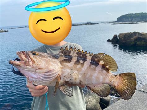 かるかりふぁー鯵柱 On Twitter 水槽で飼う用の魚釣りに来たのにどえらいもん釣れちゃったよ笑