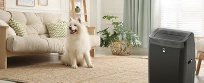 TCL BTU DOE Smart Portable AC With Heat BJ S Wholesale Club