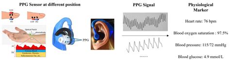 Recent Advances In The Measurement Of Physiological Markers Enabled By