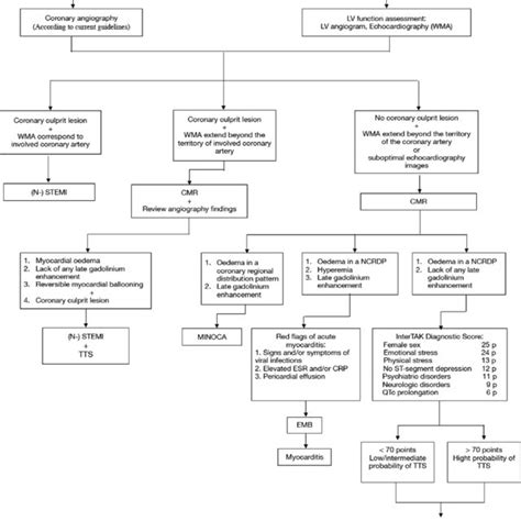 Diagnostic Algorithm For Undifferentiated Chest Pain And Or Shortness Download Scientific
