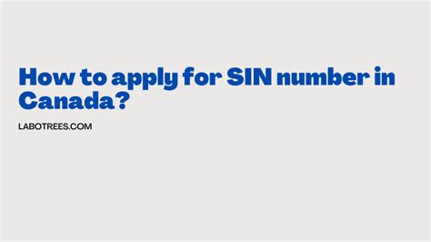A Step By Step Guide How To Apply For Sin Number In Canada Labotrees