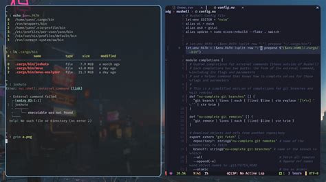 append env path does not work correctly in config nu · issue 7030 · nushell nushell · github