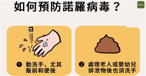 諾羅病毒傳染力超強！醫師提醒患者恢復3天內糞便內仍有病毒 Heho健康