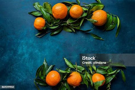 분기에 활기찬 오렌지 귤 녹색 진한 파란색 배경에 컴포지션 테두리 프레임에 배열 하는 잎 크리스마스 새 해 인사말 카드 포스터 배너 템플릿입니다 텍스트에 대 한 공간을 복사