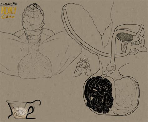 Rule 34 Absurd Res Anthro Anthro Insect Arthropod Artist Logo Artist Name Ball Bulge Ball