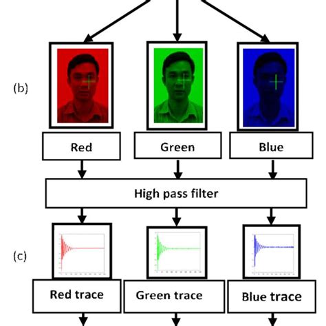 Schematic For The Measurement Of Heart Rate Noncontact With A Camera Download Scientific