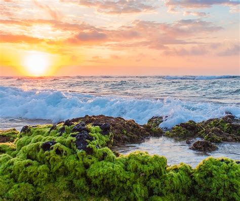 LỜI RĂN DẠY CỦA KHỔNG TỬ Cùng Sống An Vui