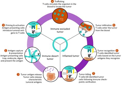 Immuno Oncology Reagents Revvity