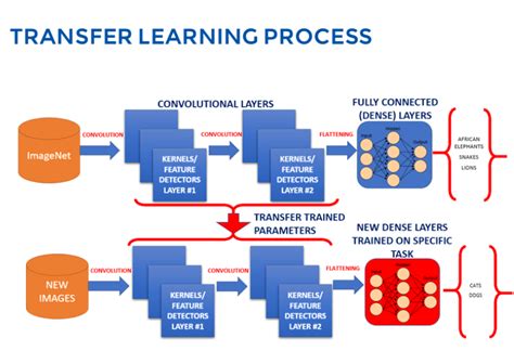 Github Karnikasoni Braintumor Detection A Project That Detects Brain