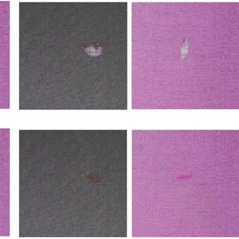 Samples Of Generated Fabric Defect Images By Using Dpgan A The