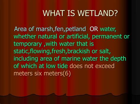 Ppt What Is Wetland Powerpoint Presentation Free Download Id 4285022