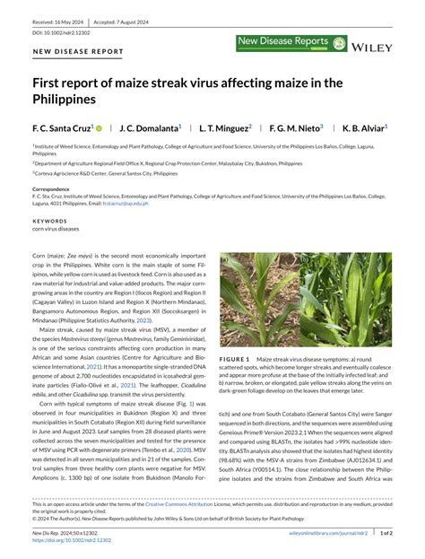 Pdf First Report Of Maize Streak Virus Affecting Maize In The Philippines