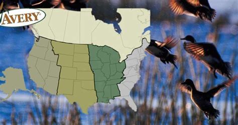 2012 2013 Waterfowl Migration Reports—season Grand View Outdoors