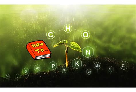 Diy Hydroponic Fertilizer A Guide To Mixing Your Own Nutrients Vertical Farming Planet