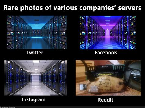 Amazing What You Can Do With A Root ProgrammerHumor Io