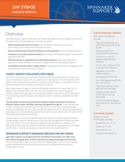 SAP Sybase ASE Managed Services Provider Spinnaker Support