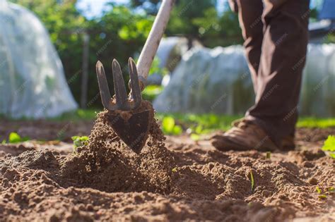 Premium Photo Weeding Beds With Agricultura Plants Growing In The