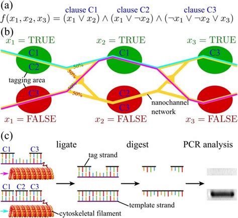 network encoding of sat with tagging a boolean formula with three