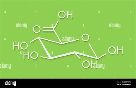 Glucuronic Acid Molecule Glucuronidation Of Xenobiotics Plays Role In Drug Metabolism Giving