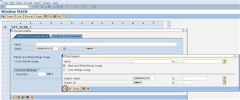 Logo In Script Sapcodes Logo In Script Sapcodes
