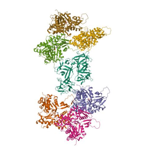 Rcsb Pdb 8vo7 Cryo Em Structure Of Fascin Crosslinked F Actin