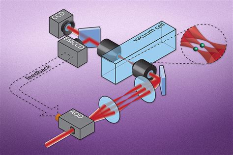 Optics Photonics News Assembling Atomic Arrays One Atom At A Time
