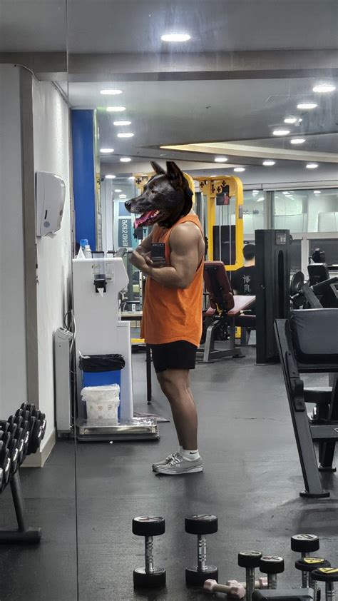 흘러내리는 어깨와 빈약한 팔 운동 건강 아싸 에펨코리아