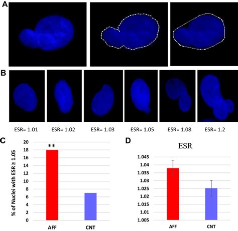 A Calculation Of Esr Using Polygon Area Divided By The Exact Area To Download Scientific