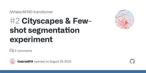 Cityscapes Few Shot Segmentation Experiment Issue NVlabs AFNO Transformer GitHub