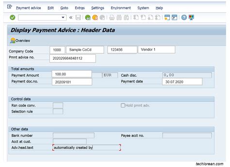 Understanding Sap Payment Advice And Purpose Techlorean